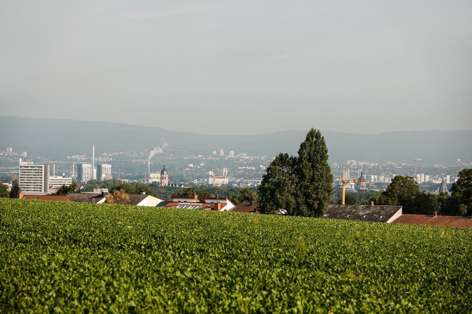 Hechtsheimer Höhe - GVG-Mainz.de